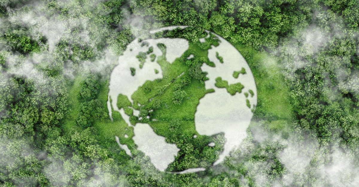 Can planting trees really offset fossil fuel emissions?